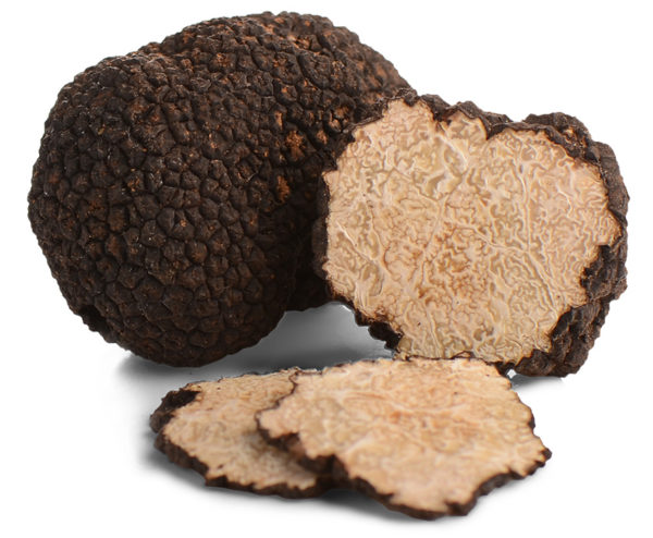 The black truffle from Istria - Hrvatski tartufarski institut
